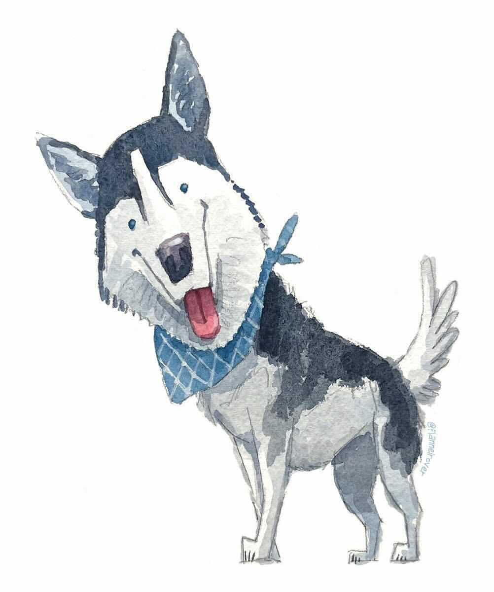 HUSKY WITH BANDANA – Drooling Monsters