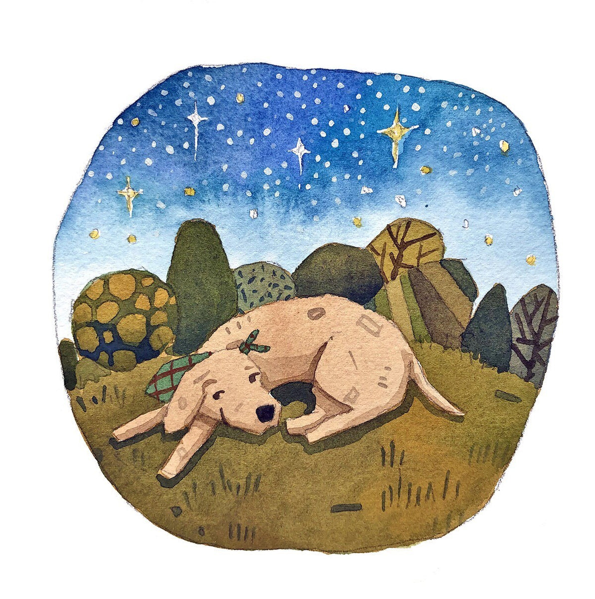 DOG IN NATURE – Drooling Monsters